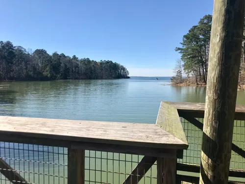 Best Hikes and Trails in South Toledo Bend State Park | AllTrails