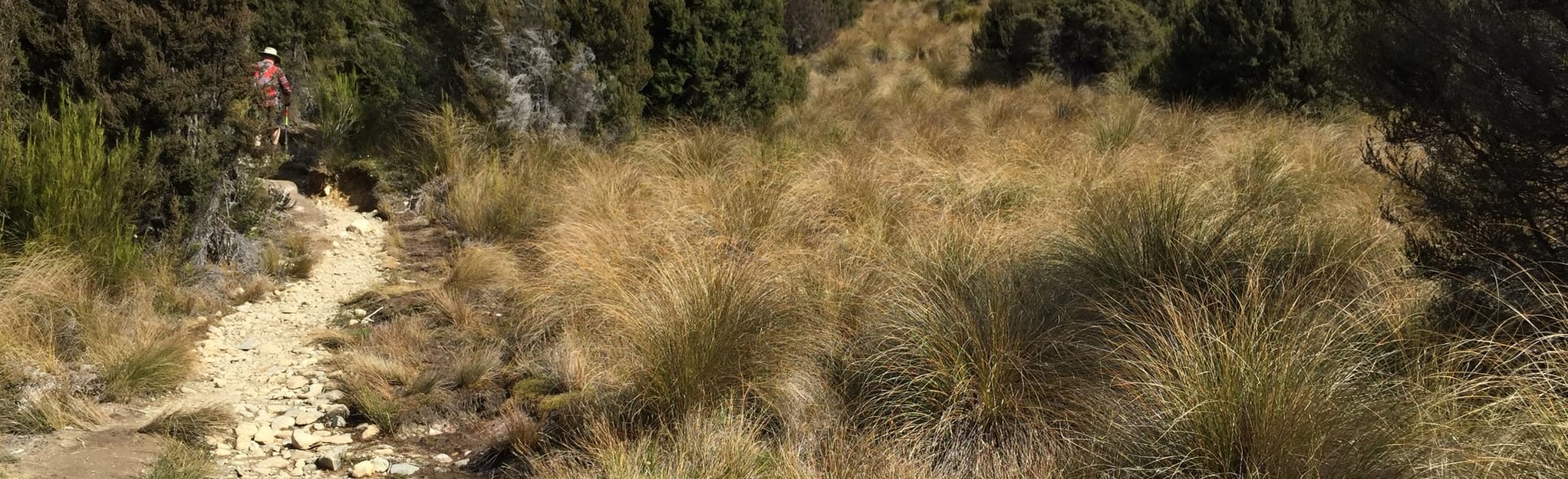 Mingha - Deception Route: Greyneys Shelter to Goat Pass Hut: 11 Reviews ...