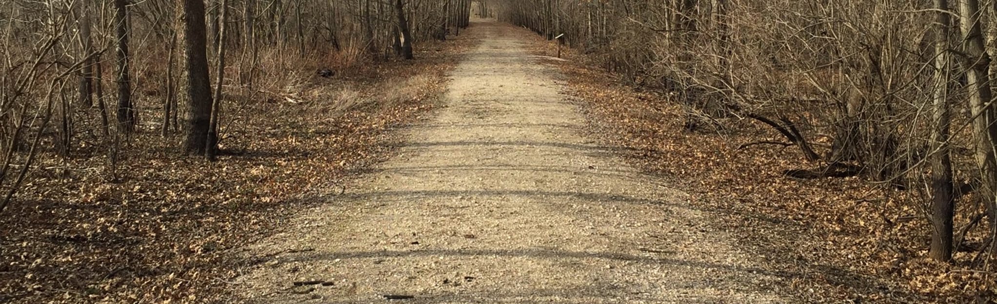 Clarence Cannon Loop Trail: 8 Reviews, Map - Missouri | AllTrails