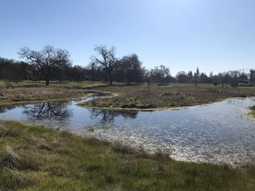 10 Best Trails and Hikes in Fair Oaks | AllTrails