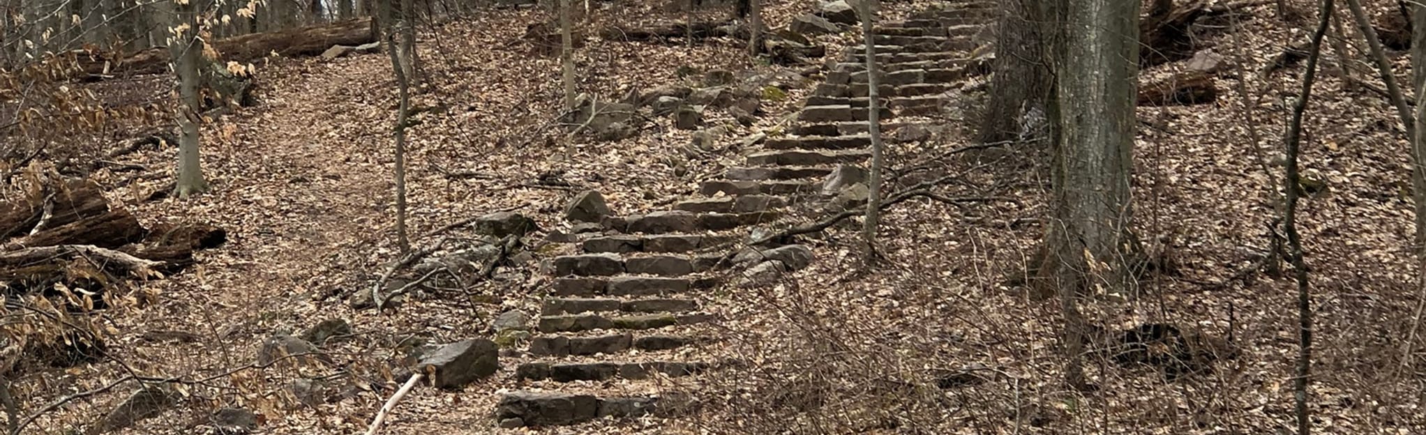 Lenape Trail to Mill Creek Trail Loop | Map, Guide - Pennsylvania ...