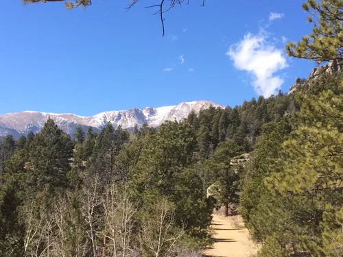 10 Best Hikes and Trails in Pike National Forest | AllTrails