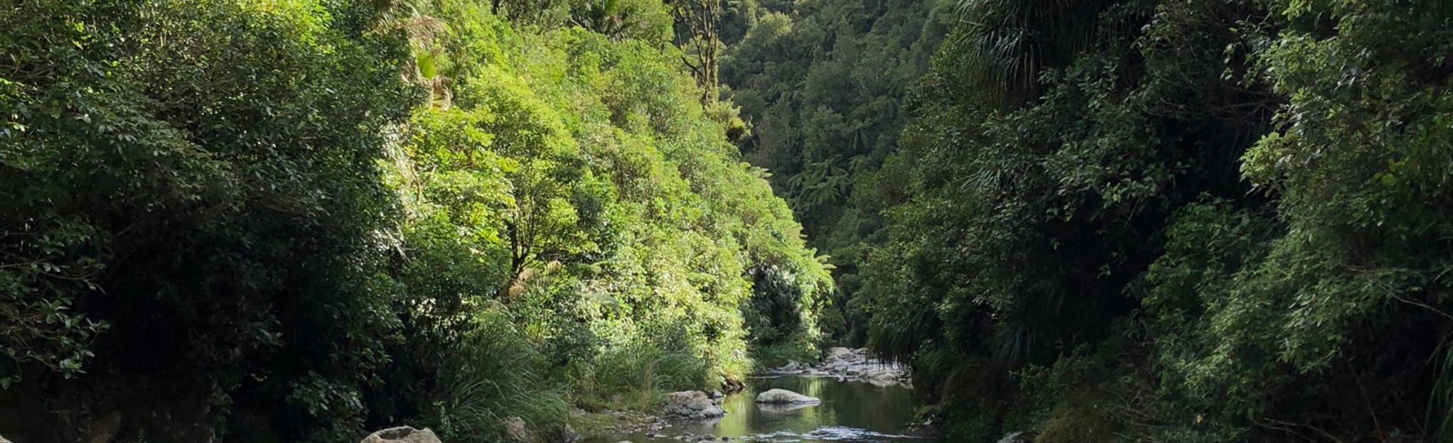 Sledge Trail to Swingbridge: 49 Reviews, Map - Manawatu-Wanganui, New ...