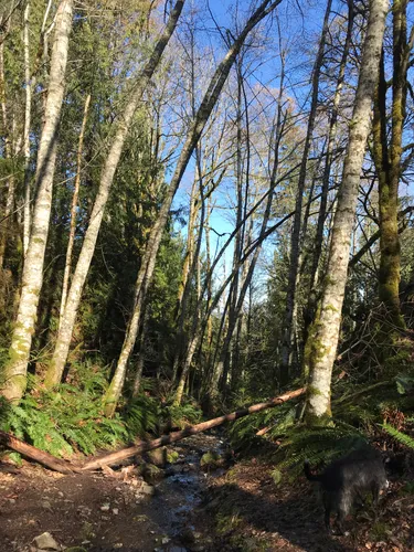 10 Best Long Trails in Mount Work Regional Park | AllTrails