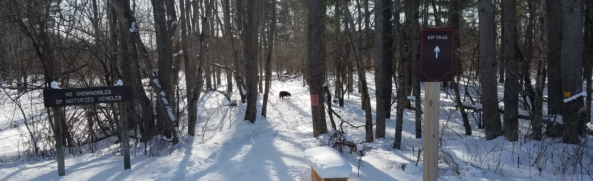 Kip Trail, New York - 26 Reviews, Map | AllTrails