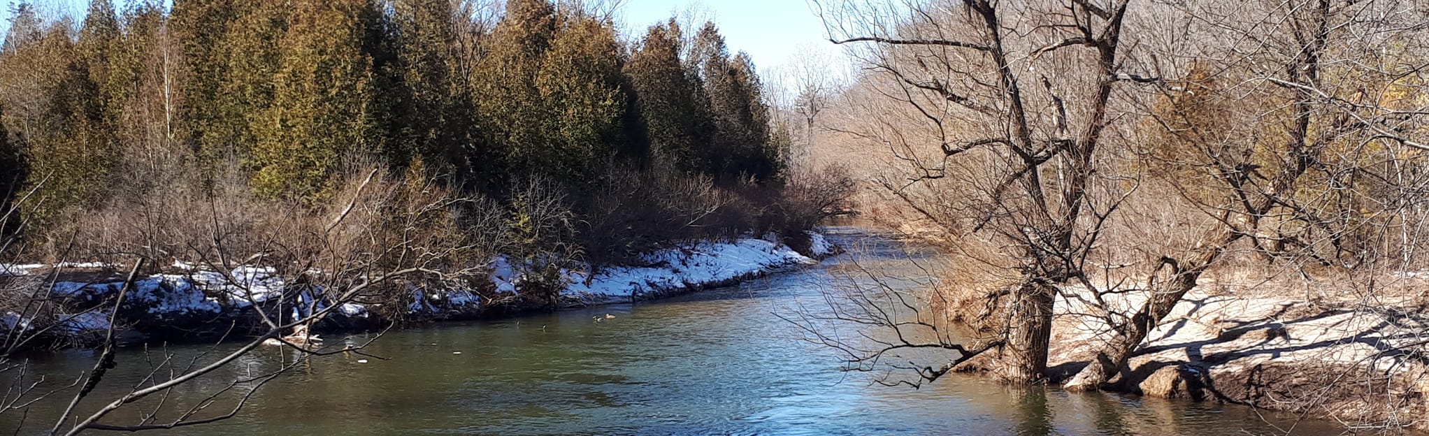 Apps' Mill Nature Centre: 230 Reviews, Map - Ontario, Canada | AllTrails