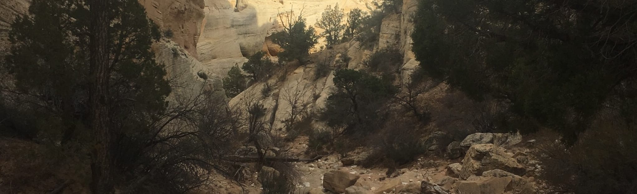 Round Valley Draw: 36 Reviews, Map - Utah | AllTrails