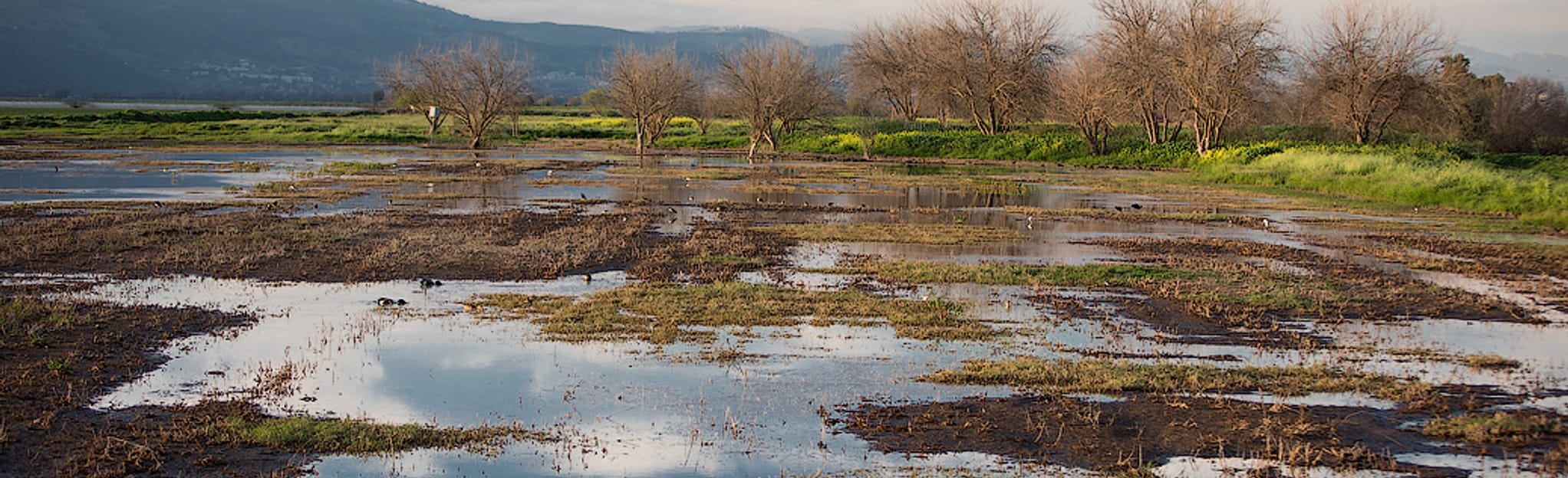 Hula Valley Loop, Northern District HaZafon, Israel - 6 Reviews, Map ...