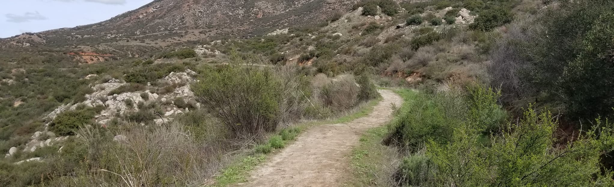 Paradise Mountain Loop, California - 652 Reviews, Map | AllTrails