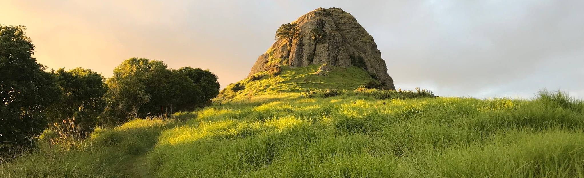 St. Paul's Rock Track, Northland, New Zealand - 74 Reviews, Map | AllTrails