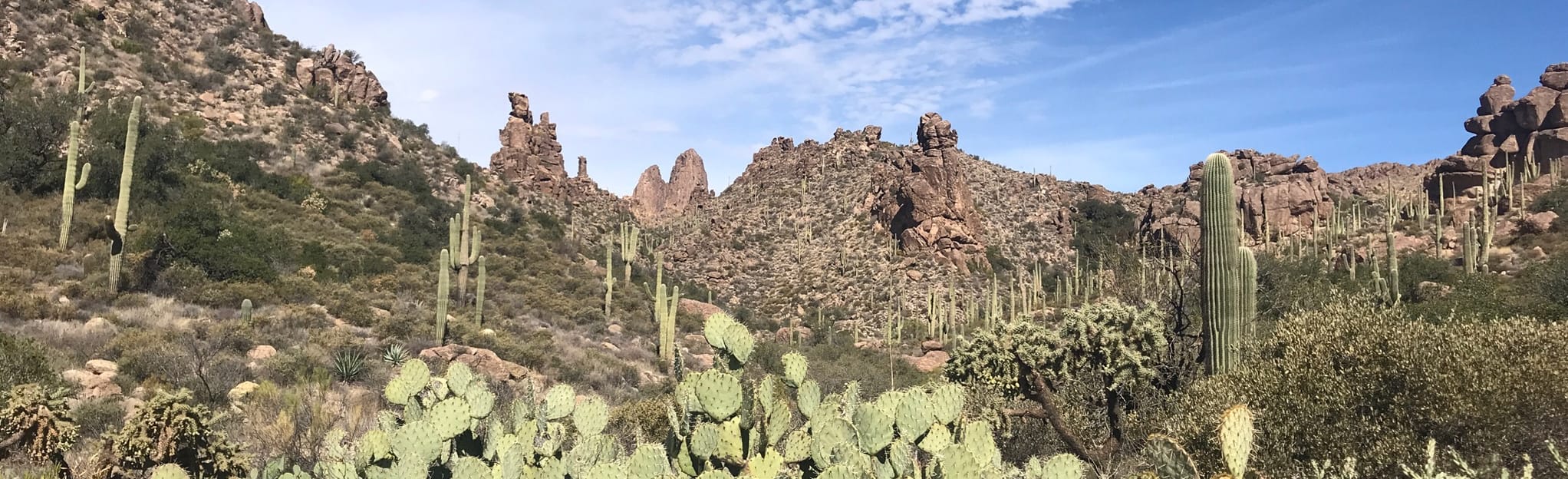 Bluff Spring Trail to Peralta Trail Bypass, Arizona - 294 Reviews, Map ...