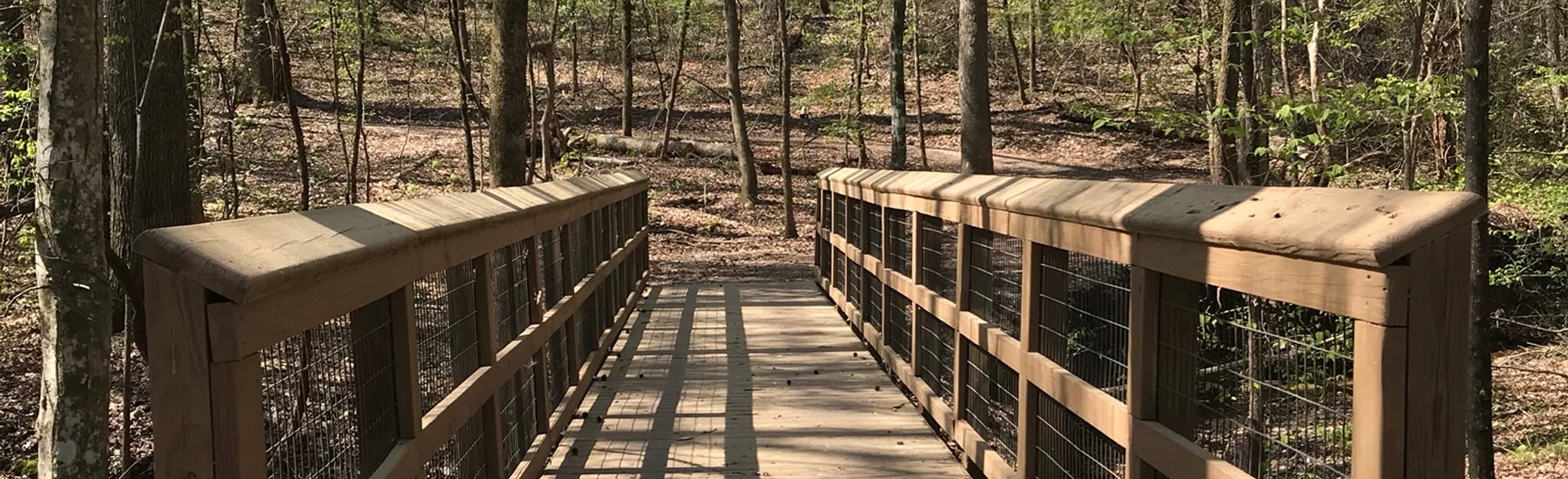 Hilltop Pass and Treetop Loop: 92 Reviews, Map - Alabama | AllTrails