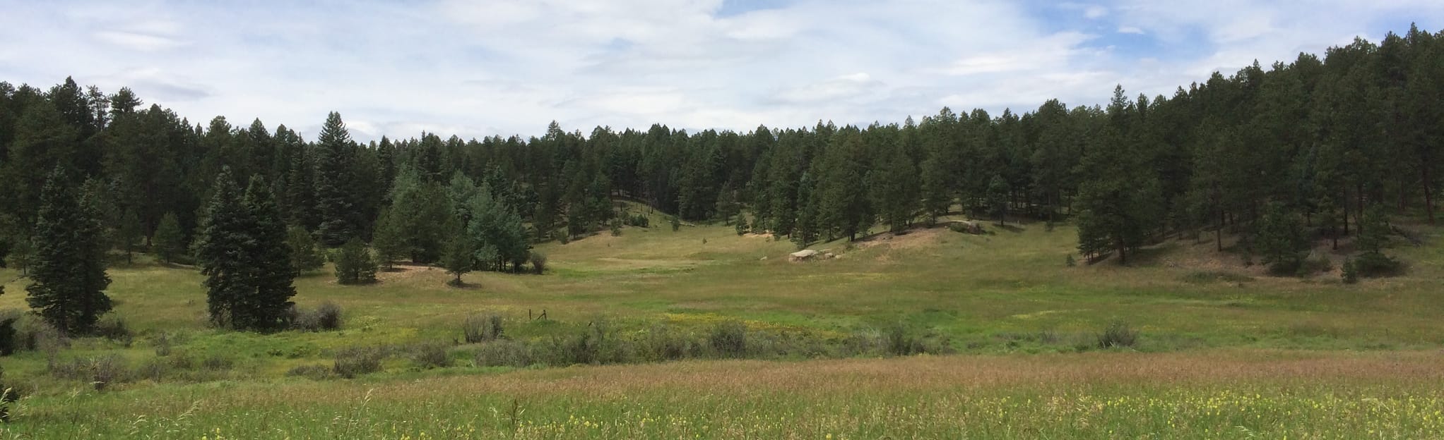 Rampart and West Jackson OHV Loop - Colorado | AllTrails