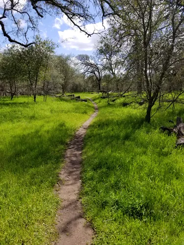 10 Best Trails and Hikes in Roseville | AllTrails
