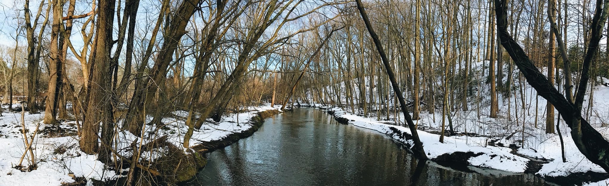 Tall Pines: 1,051 Reviews, Map - New Jersey | AllTrails