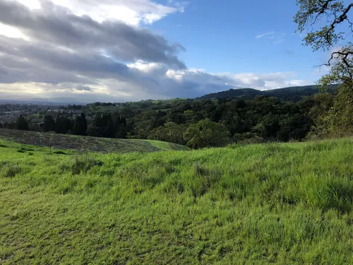 10 Best Trails and Hikes in San Ramon | AllTrails