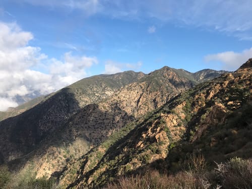 2023 Best 10 Trails and Hikes in Altadena | AllTrails