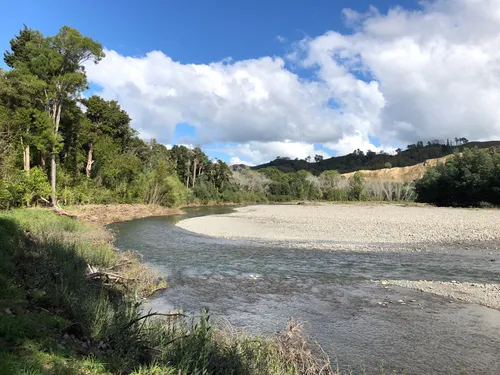Best Hikes and Trails in Totara Reserve Regional Park | AllTrails