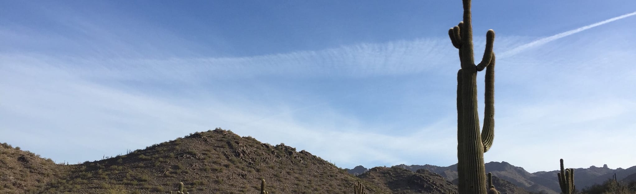 Desert Parks and Gateway Loop: 2.596 fotos - Arizona | AllTrails