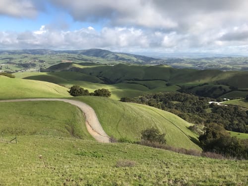 Best 10 Hikes and Trails in Mission Peak Regional Preserve | AllTrails