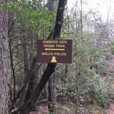 Amber's Den Ridge Trail, Tennessee - 77 Reviews, Map | AllTrails