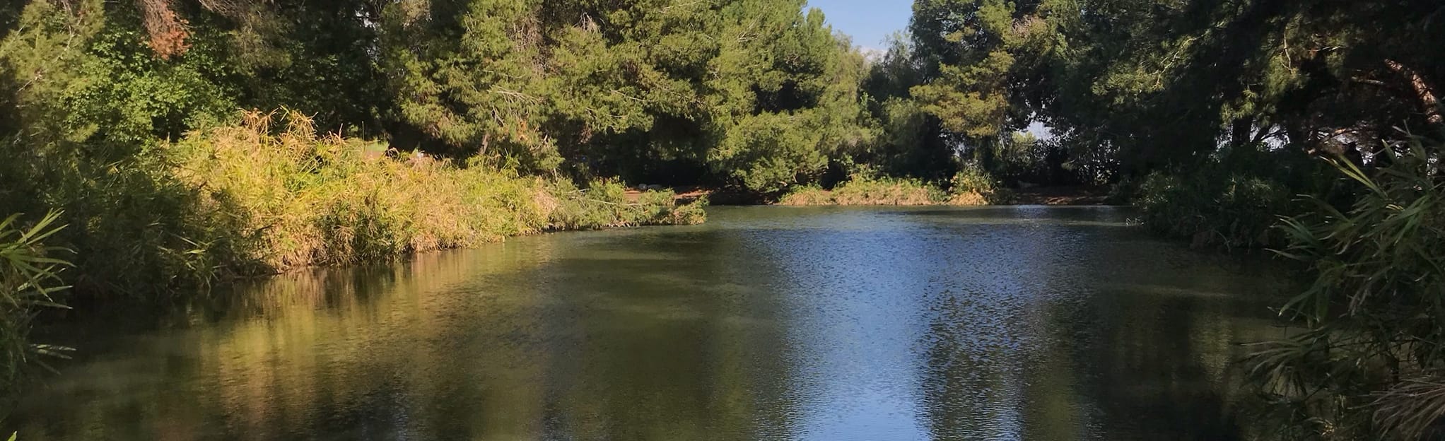 Ernest E. Debs Regional Park Loop: 366 Reviews, Map - California ...