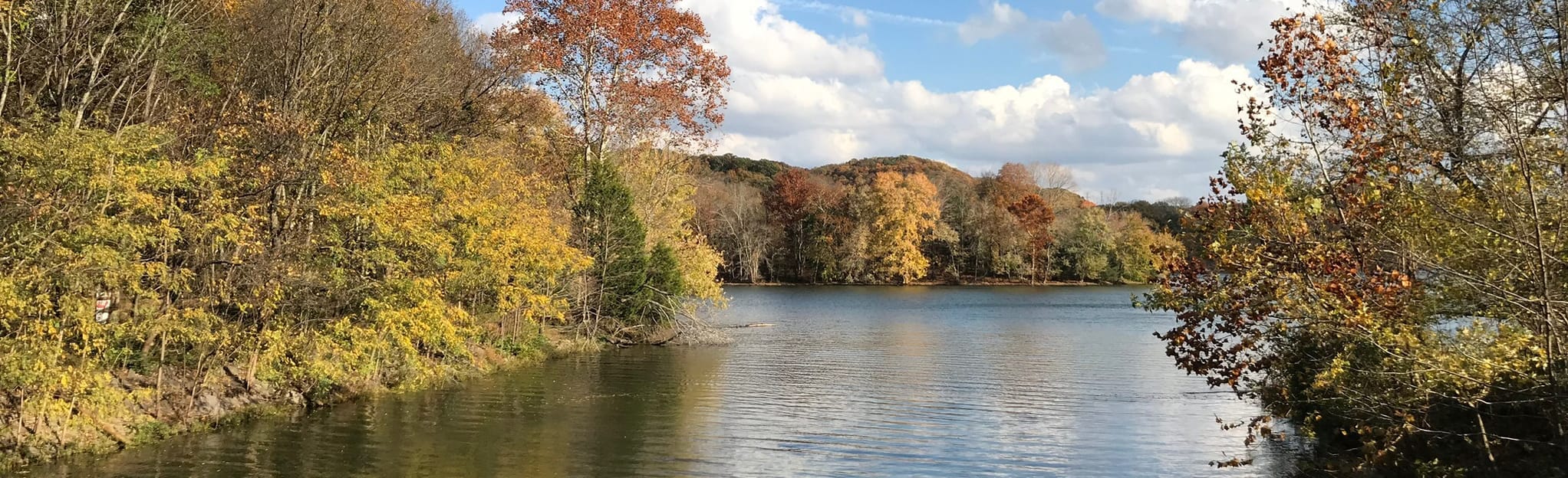 Radnor Lake: Ganier Ridge And South Cove Trail: 1210 Reviews, Map ...