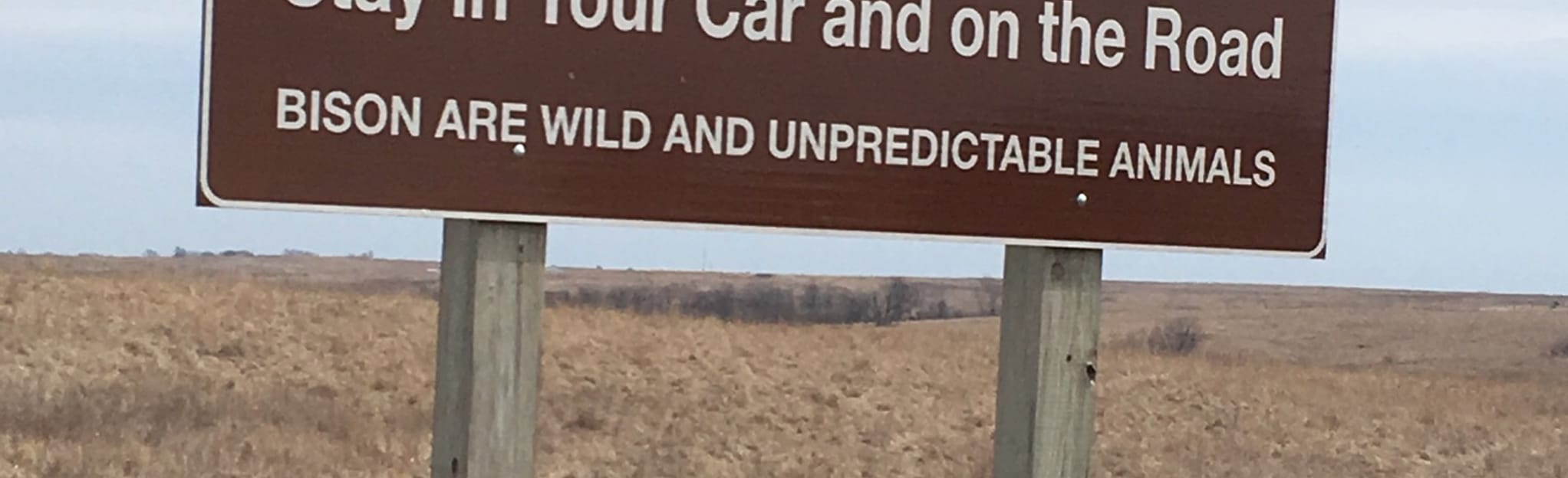 Neal Smith Bison Area Scenic Drive, Iowa - 15 Reviews, Map | AllTrails