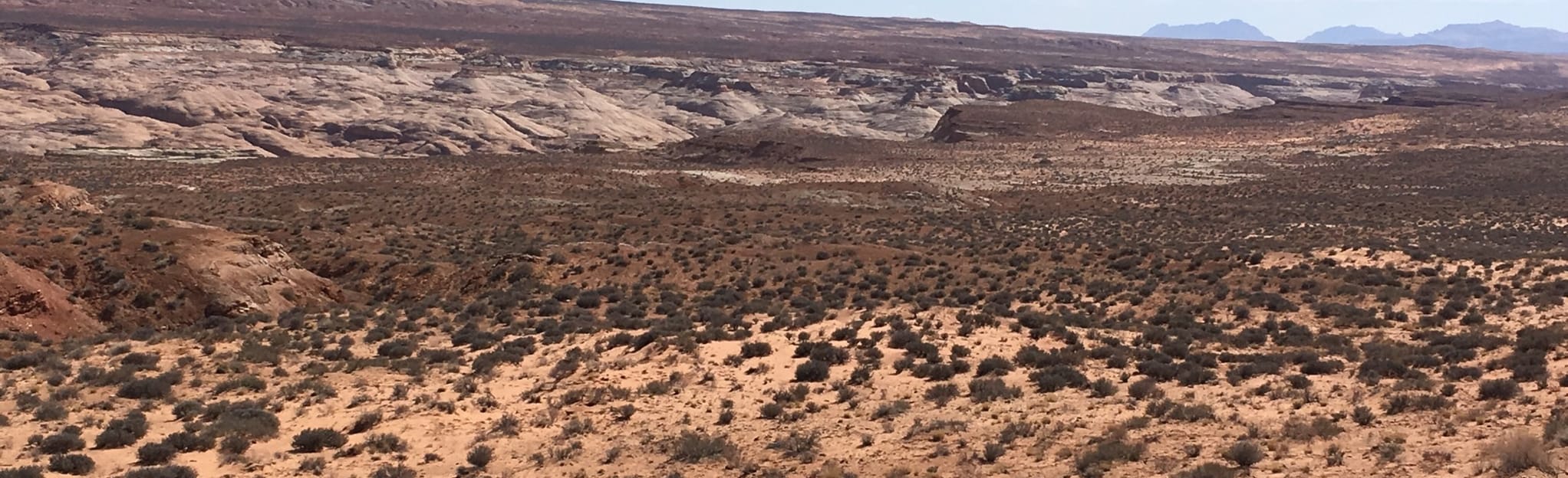 Dirty Devil Lookout, Burr Point, and Petrified Forest OHV Trail: 17 ...