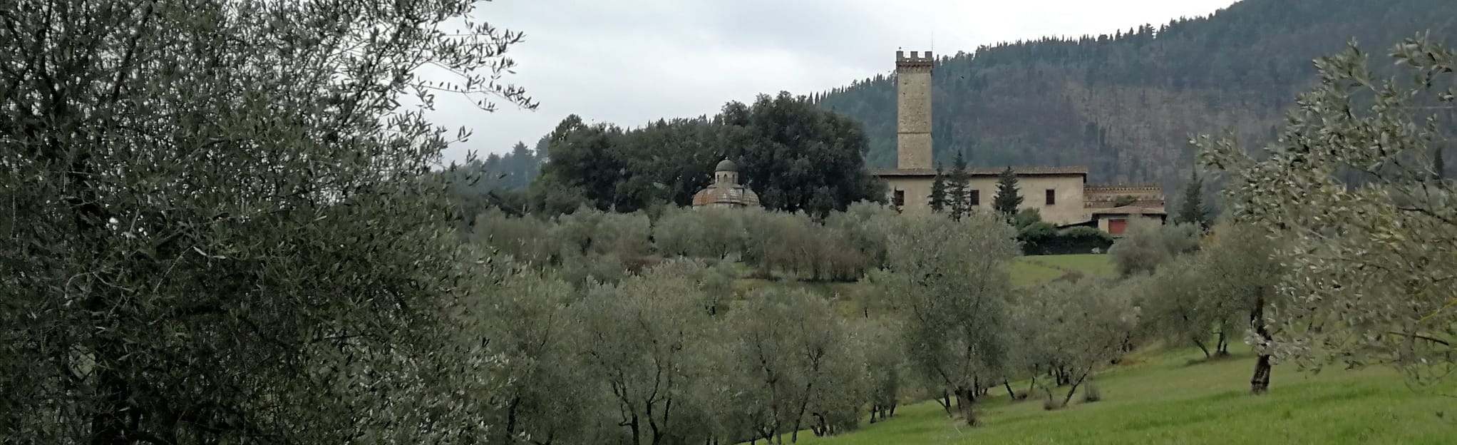 Rufina - Pontassieve - Torri, 7 Fotos - Toskana, Italien | AllTrails
