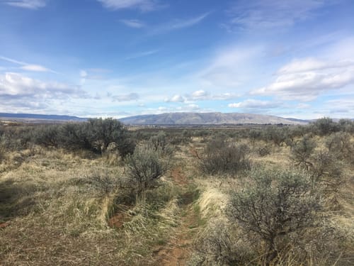 2023 Best 10 Trails and Hikes in Yakima | AllTrails