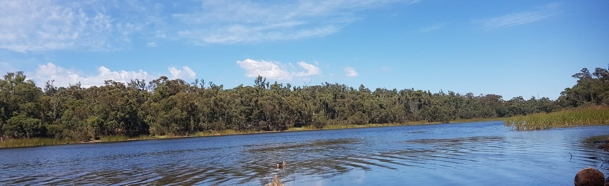 Lake Leschenaultia Short Loop, Western Australia, Australia - 128 ...