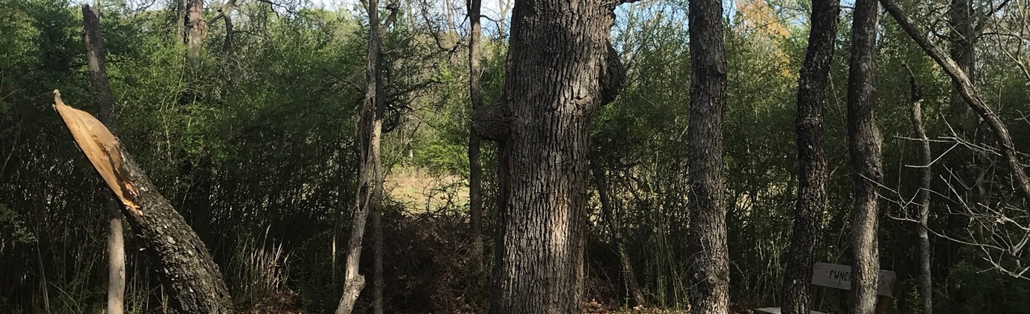 Oak Motte Trail - Texas | AllTrails
