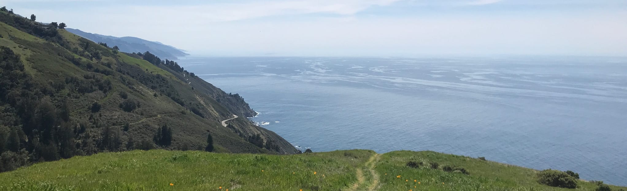 Timber Top and Boranda Trail, California - 612 Reviews, Map | AllTrails