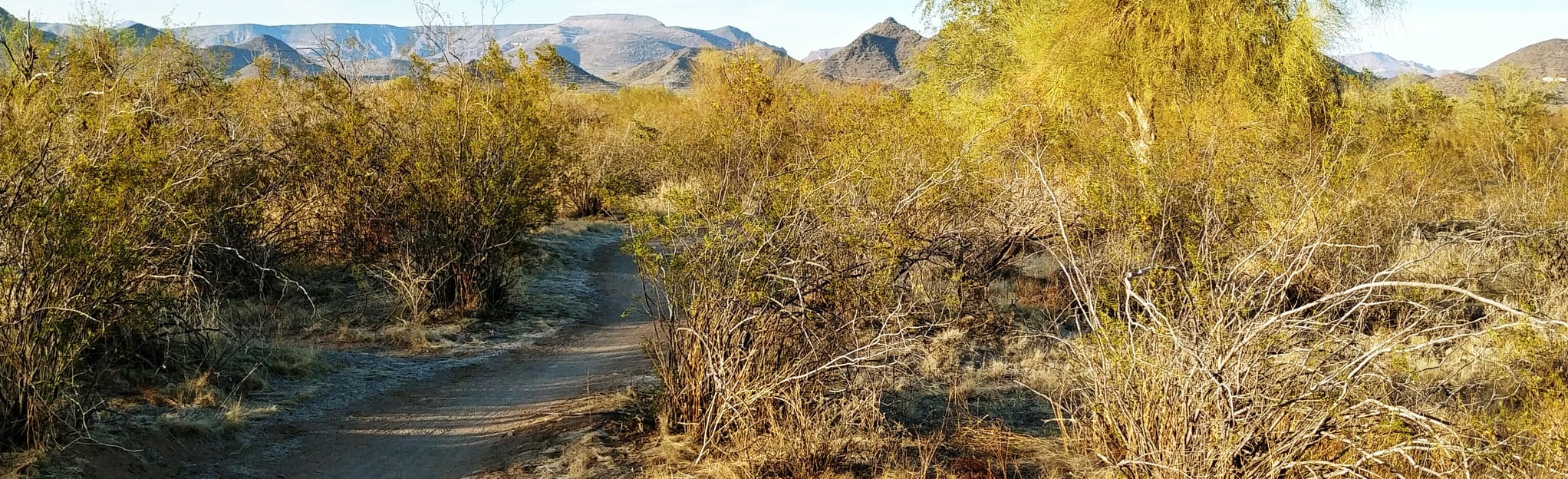 Apache Wash Loop Trail: Extended, Arizona - 1,320 Reviews, Map | AllTrails