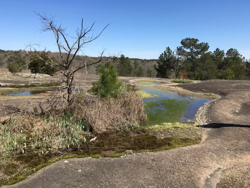 Best 10 Hiking Trails in Forty Acre Rock Heritage Preserve | AllTrails