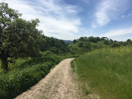 10 Best Hikes and Trails in Shell Ridge Open Space | AllTrails