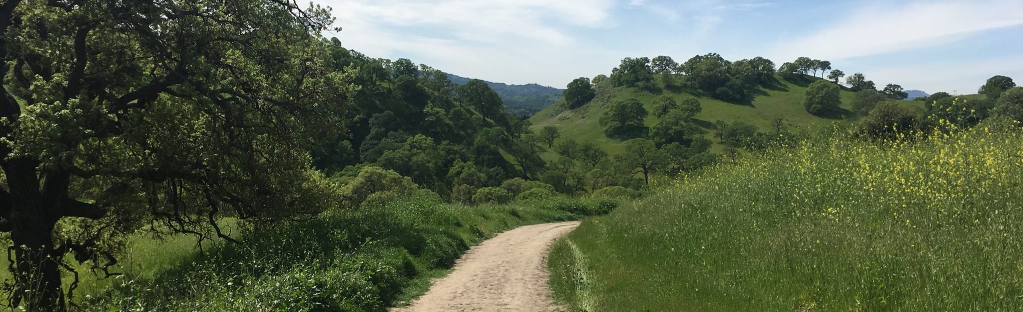 Ridge Top, Ginder Gap, and Briones to Mount Diablo Loop, California ...