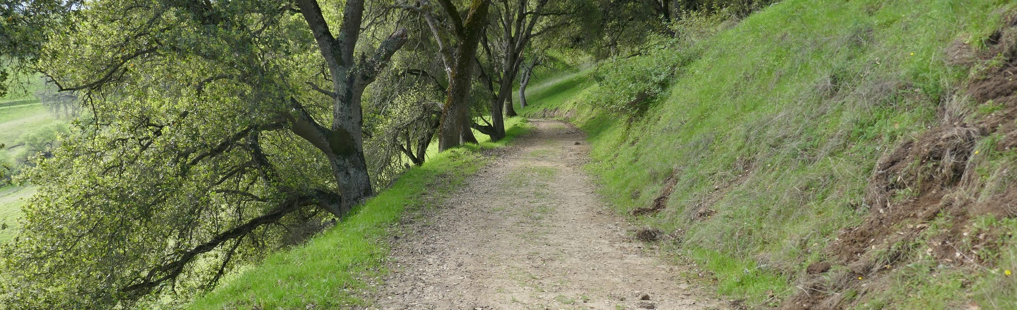 Sunol Wilderness to Ohlone College, California - 119 Reviews, Map ...