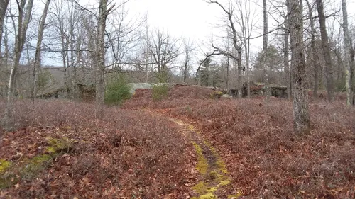 10 Best Hikes and Trails in Elk State Forest | AllTrails