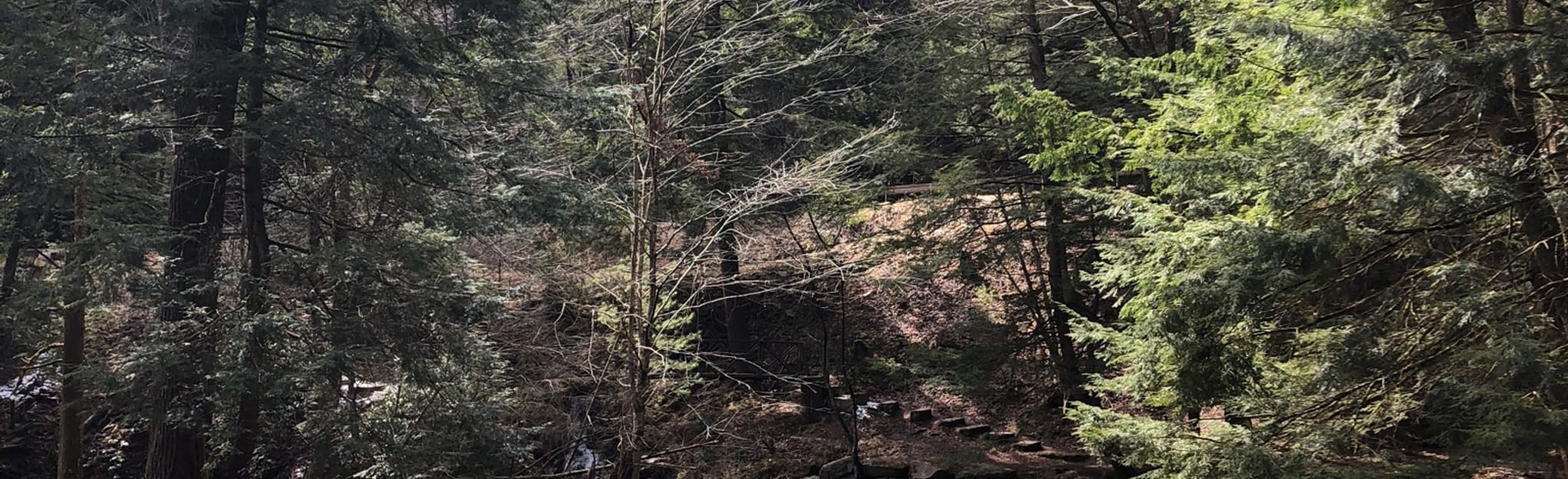 Longfellow Trail Loop: 676 foto's - Pennsylvania | Wandelen - AllTrails
