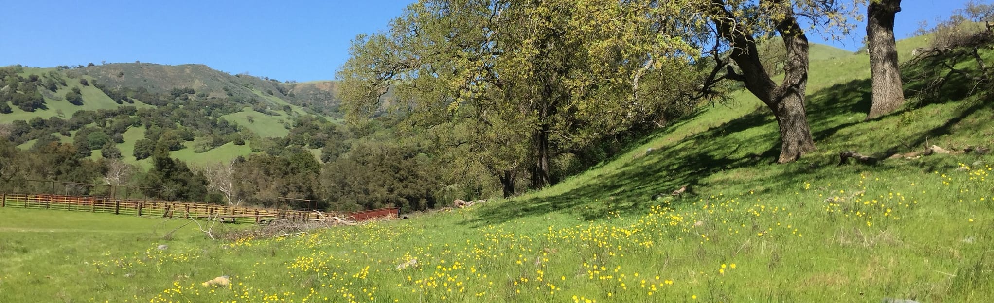 McCorkle Trail to Camp Ohlone Road Loop: 258 Reviews, Map - California ...