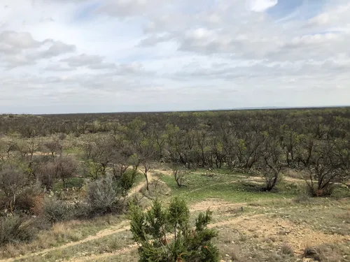 10 Best Hikes and Trails in San Angelo State Park | AllTrails