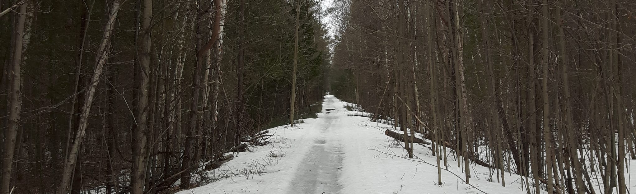 Wye Marsh: Freshet Creek Loop: 8 Reviews, Map - Ontario, Canada | AllTrails