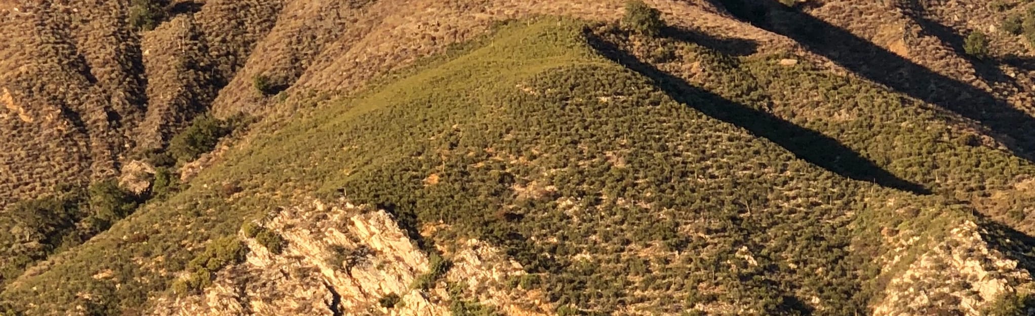 Pauma Creek Trail, California - 16 Reviews, Map | AllTrails