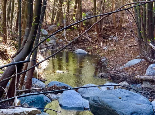Best Hikes and Trails in Pauma Valley | AllTrails