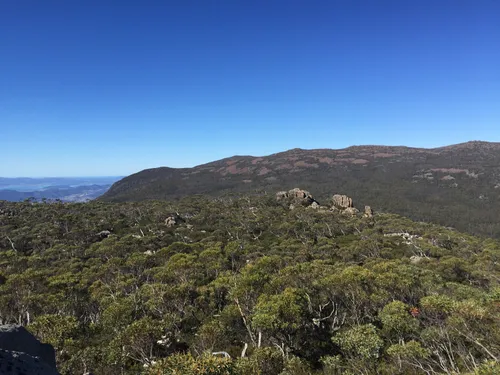 10 Best Trails and Hikes in Fern Tree | AllTrails