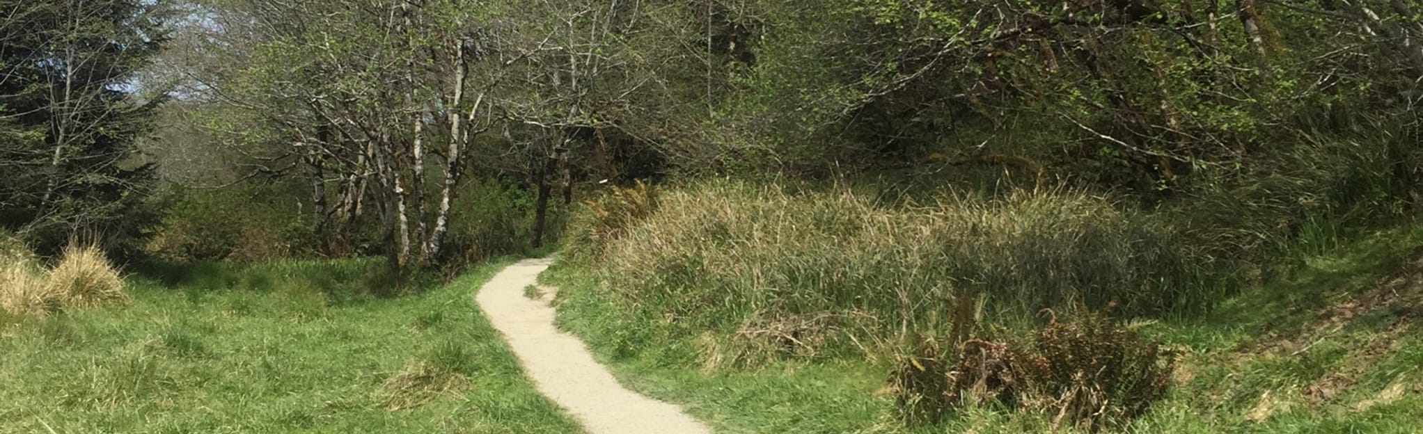 Miner's Ridge Trail, Clintonia Trail, and Gold Bluffs Beach Loop ...