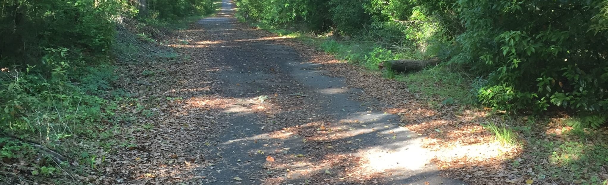 Archer Braid Trail, Florida - 18 Reviews, Map | AllTrails