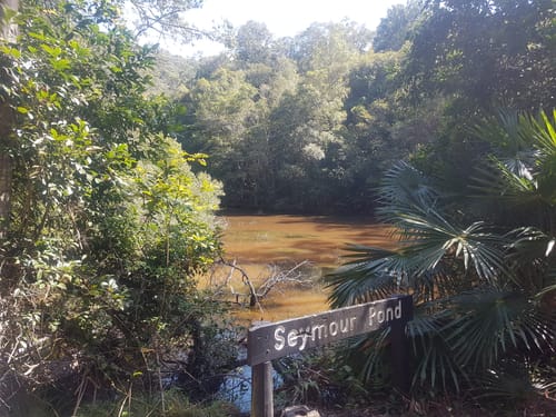 Best Hikes and Trails in Katandra Reserve | AllTrails